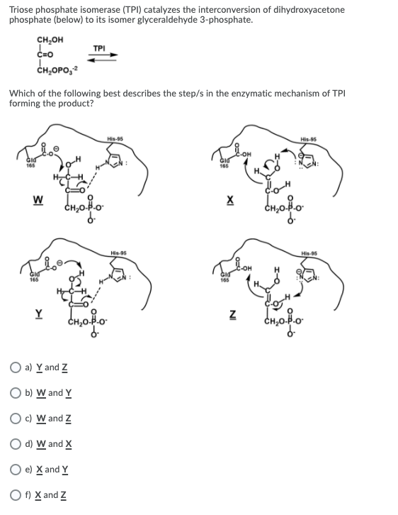 Solved Triose phosphate isomerase (TPI) catalyzes the | Chegg.com