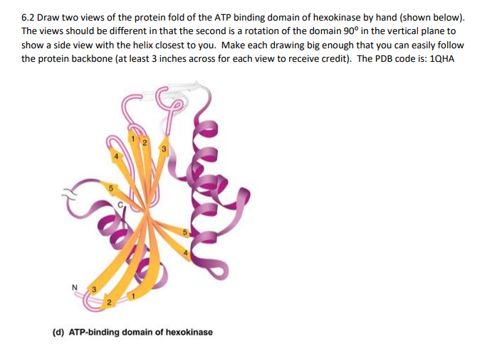 Solved 6.2 Draw two views of the protein fold of the ATP | Chegg.com