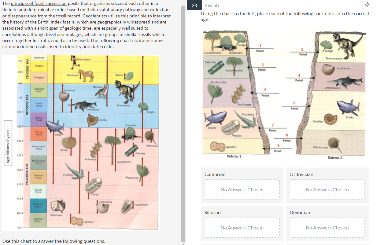 Solved 24 -100 9 points Using the chart to the left, place | Chegg.com