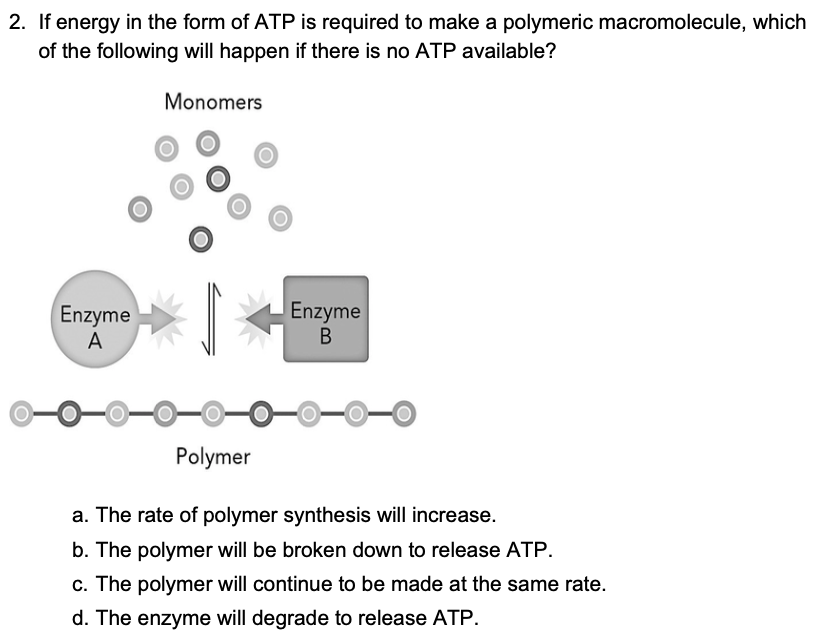 Solved If energy in the form of ATP is required to make a | Chegg.com