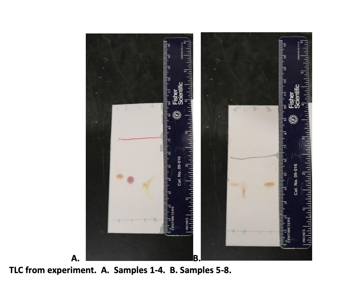 Which colors were observed after dipping your TLC | Chegg.com