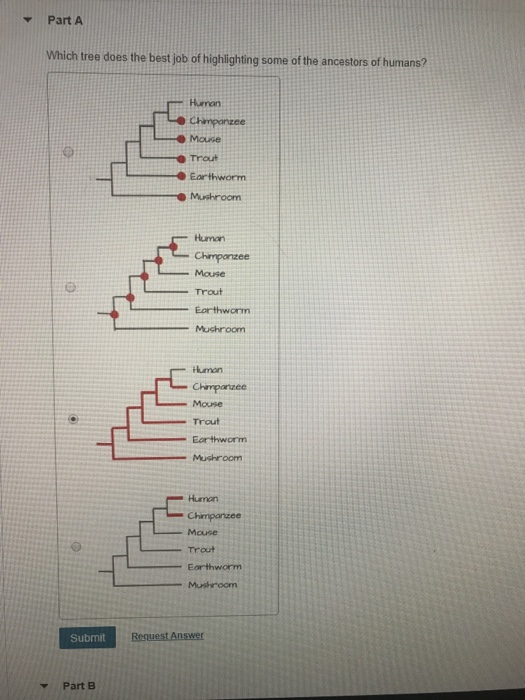 Solved Part A Which tree does the best job of highlighting | Chegg.com