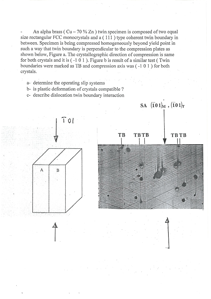 Solved An alpha brass ( Cu - 70% Zn ) twin specimen is | Chegg.com