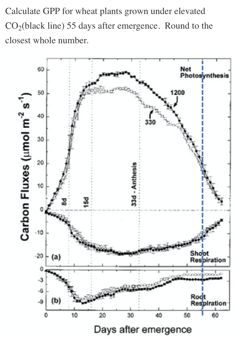 Solved Calculate GPP for wheat plants grown under elevated | Chegg.com