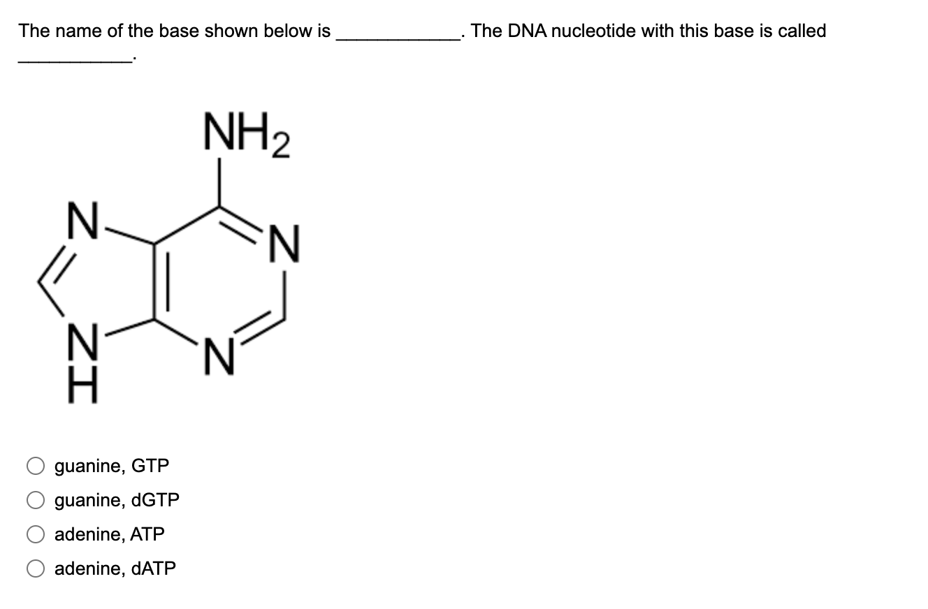 Solved The name of the base shown below is The DNA | Chegg.com