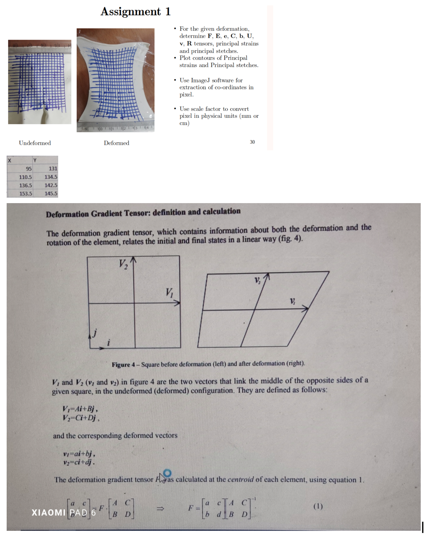 Solved Assignment 1UndeformedDeformedFor the given | Chegg.com