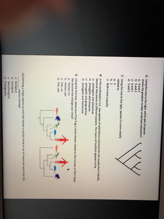 Solved 6) Using the tree to the right, which pair of species | Chegg.com