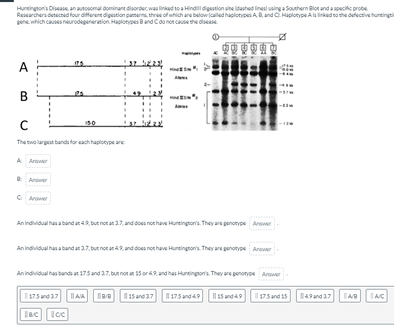 Solved Huntington's Disease, an autosomal dominant disorder, | Chegg.com