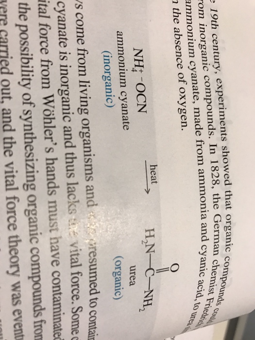 Solved What do the + and - signs mean on the ammonium | Chegg.com