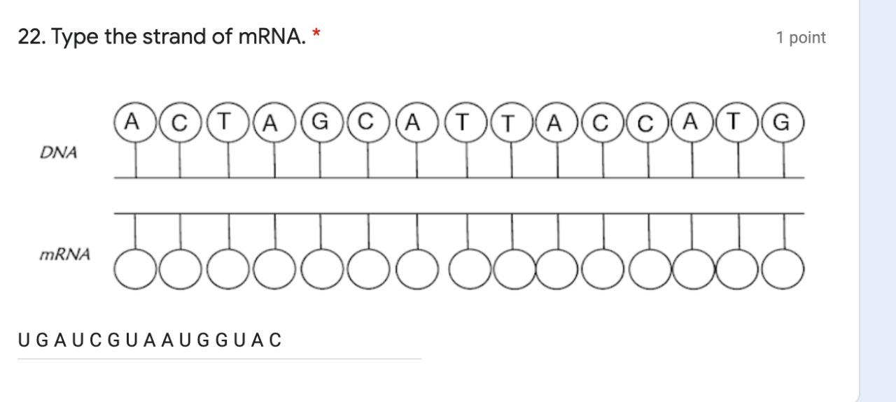 Solved 22. Type the strand of mRNA. * 1 point | Chegg.com