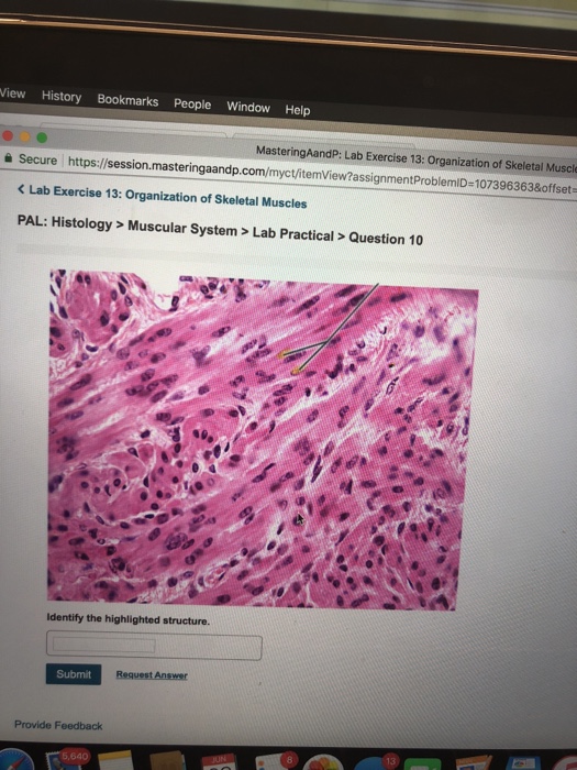 Solved: History Bookmarks People Window Help MasteringAand... | Chegg.com