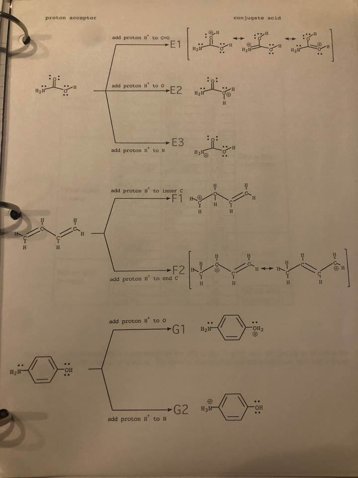 Solved proton acceptor conjugate acid . add proton n' to co | Chegg.com