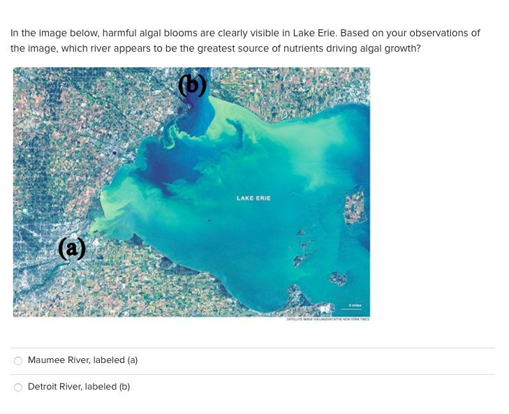 Solved In the image below, harmful algal blooms are clearly | Chegg.com