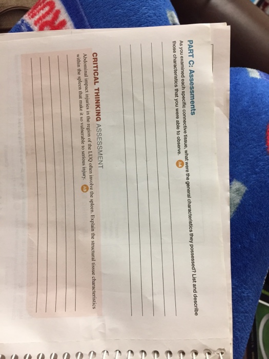 Solved As you examined each specific connective tissue, what | Chegg.com