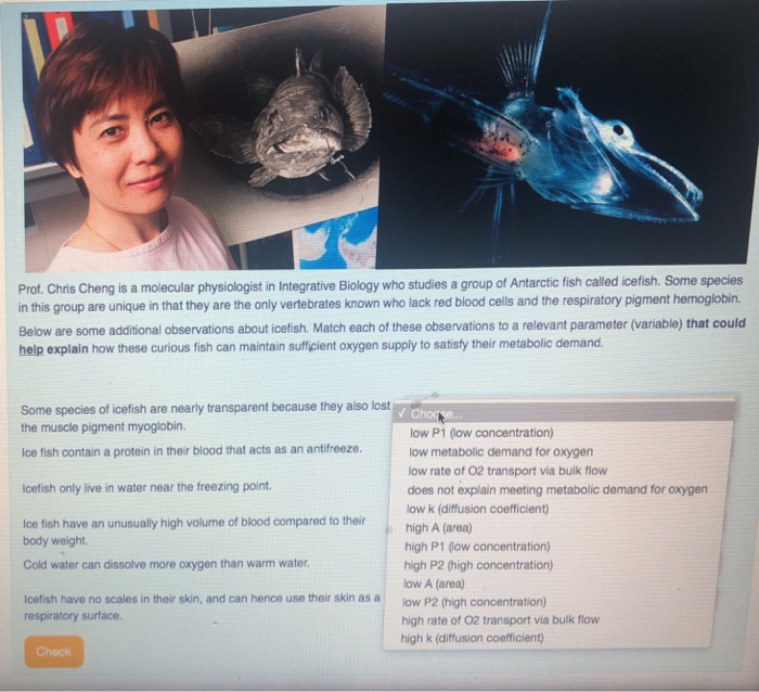 Prof. Chris Cheng is a molecular physiologist in | Chegg.com