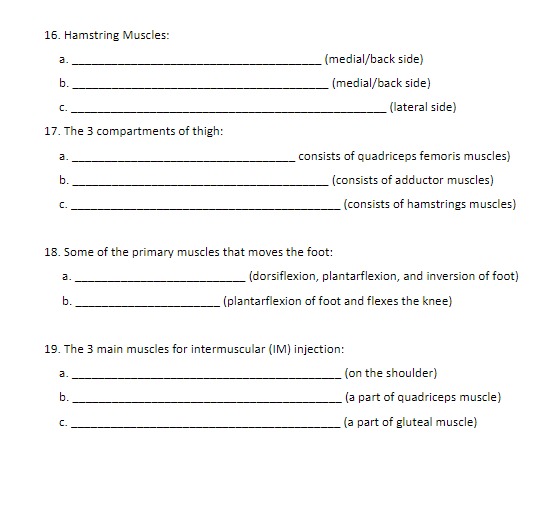 Solved 16. Hamstring Muscles: ฮ. (medial/back side) b. | Chegg.com