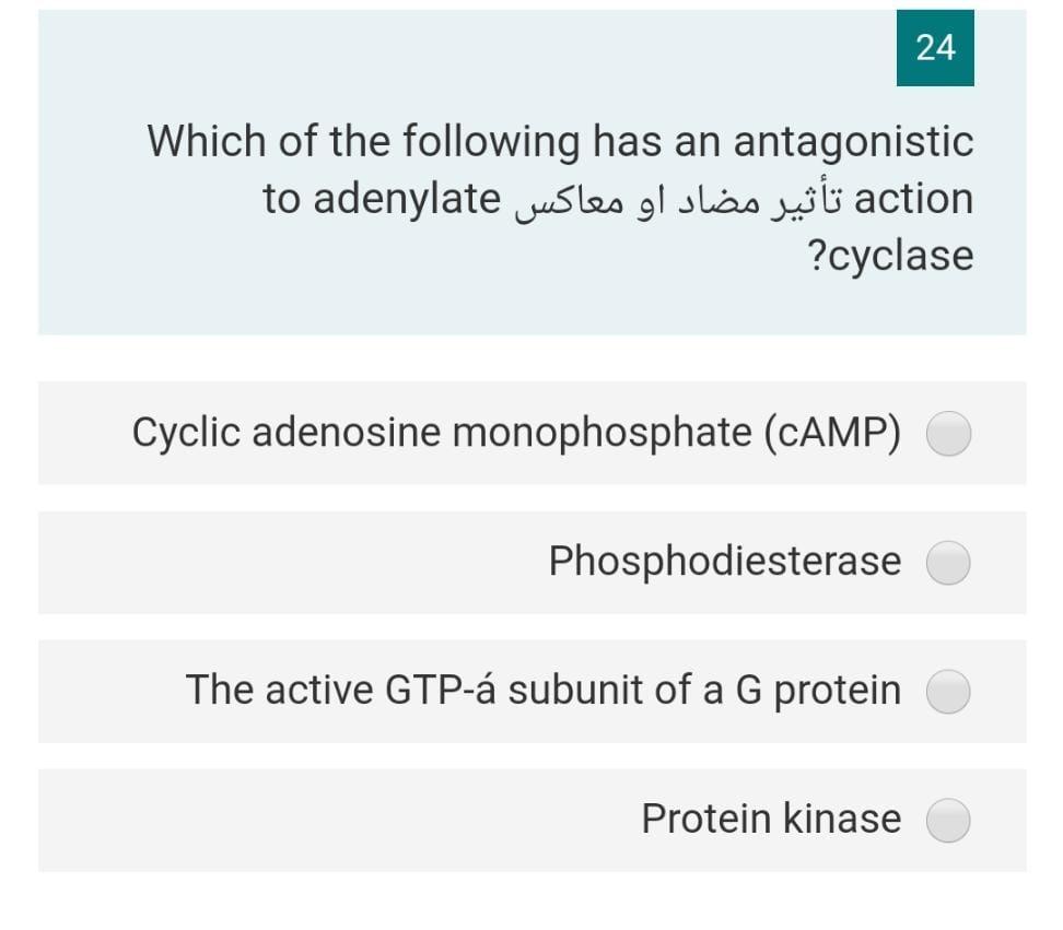Solved 24 Which of the following has an antagonistic action | Chegg.com