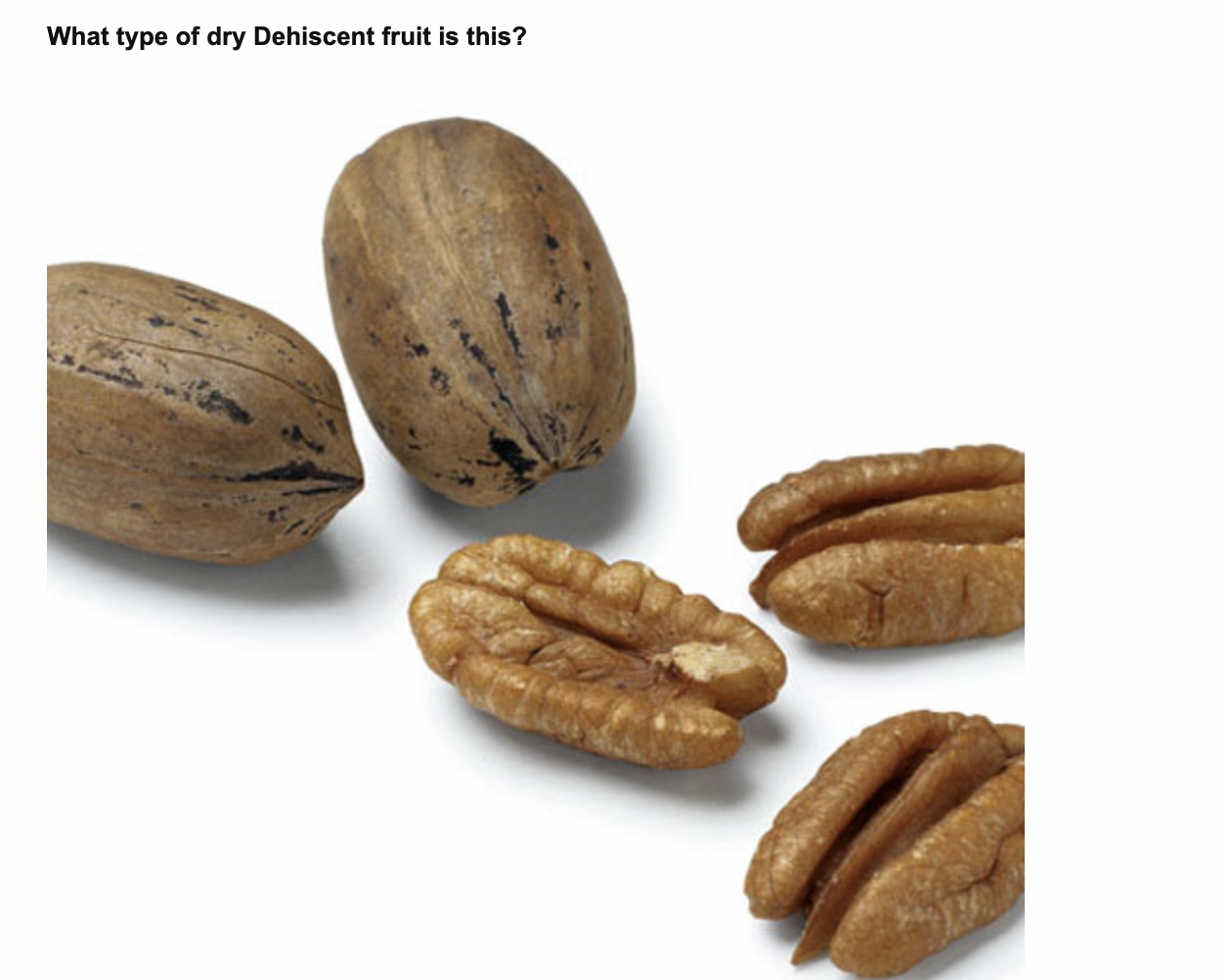 Solved What type of simple fleshy fruit is | Chegg.com