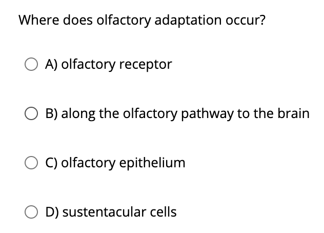 Solved Where does olfactory adaptation occur? A) olfactory | Chegg.com