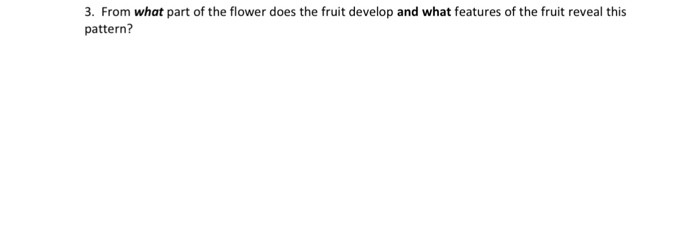 Solved From what part of the flower does the fruit develop | Chegg.com