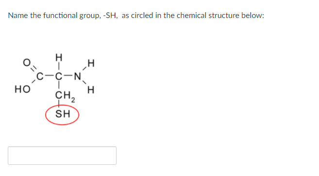 Solved Name the functional group, -SH, as circled in the | Chegg.com