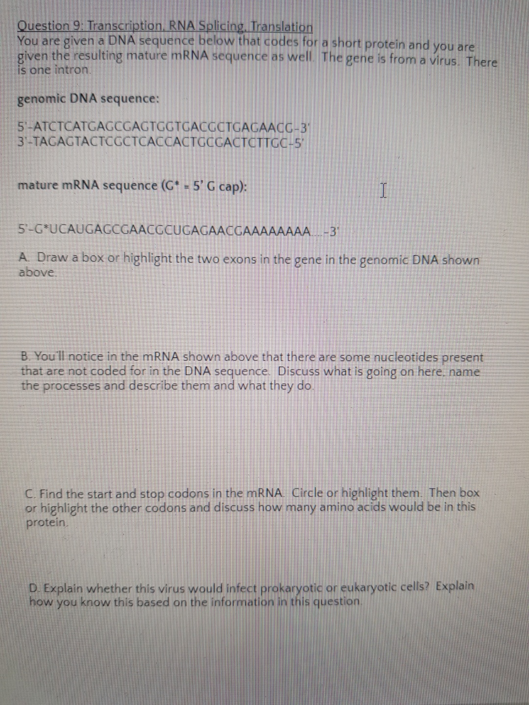 Solved Question 9: Transcription, RNA Splicing. Translation | Chegg.com