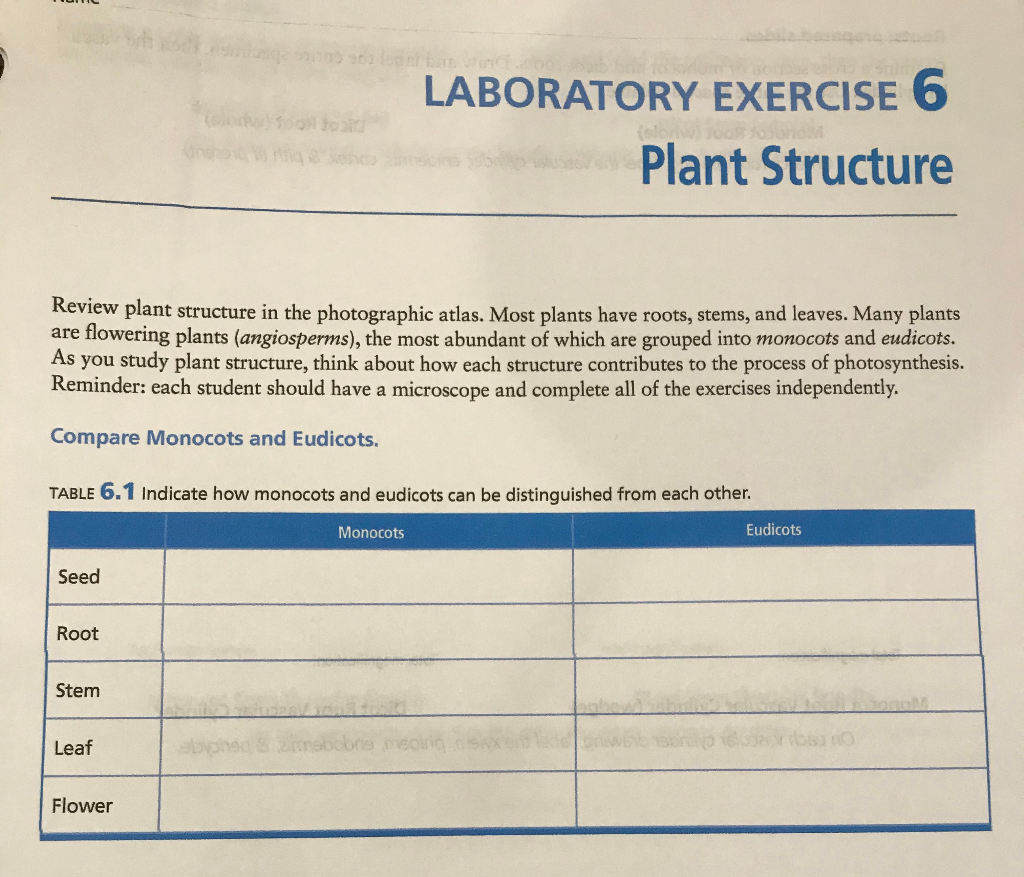 Solved LABORATORY EXERCISE 6 Plant Structure Review plant | Chegg.com