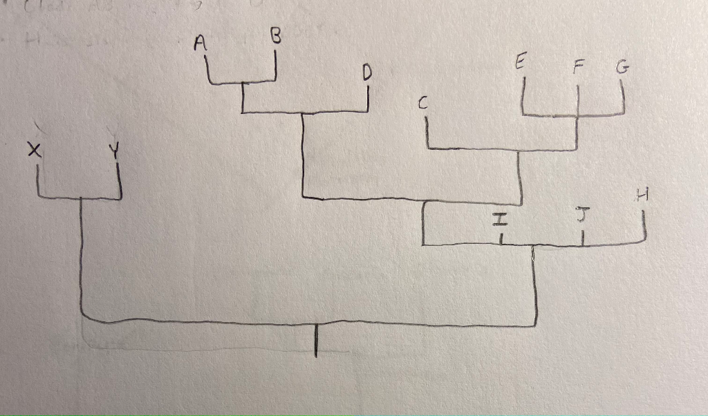 Solved 1) How many examples of polytomy are evident in the | Chegg.com