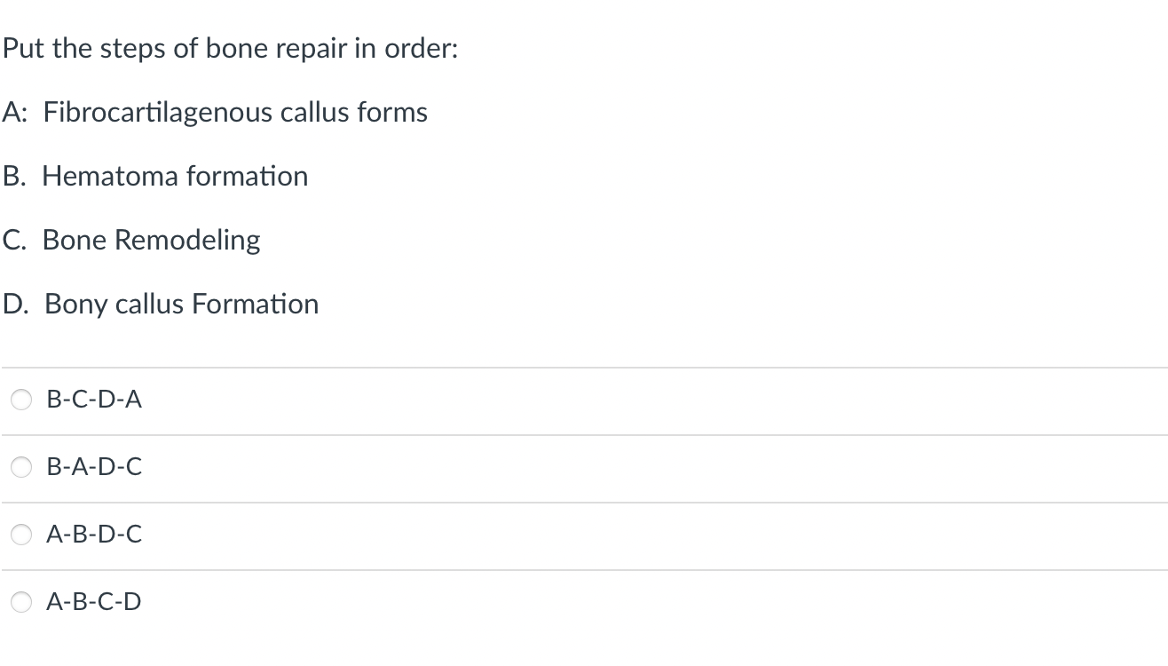 Solved Put the steps of bone repair in order: A: | Chegg.com