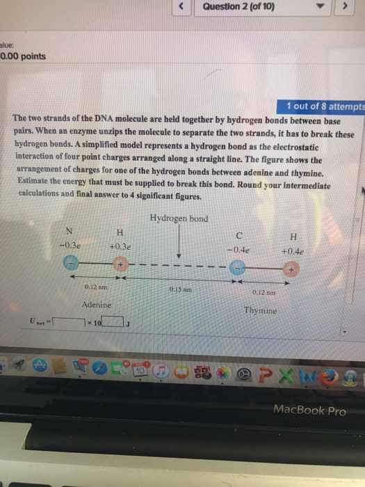 Solved The two strands of the DNA molecule are held together | Chegg.com