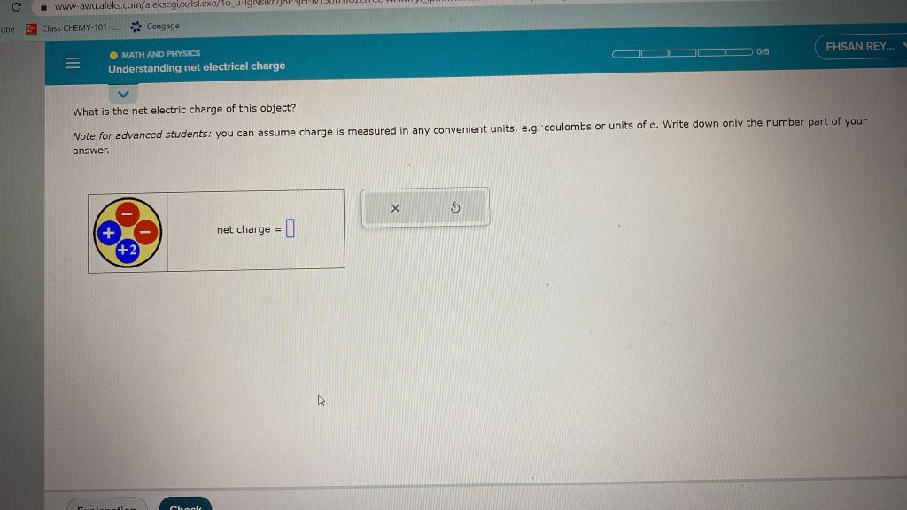 What is the net electric charge of this object? Note | Chegg.com