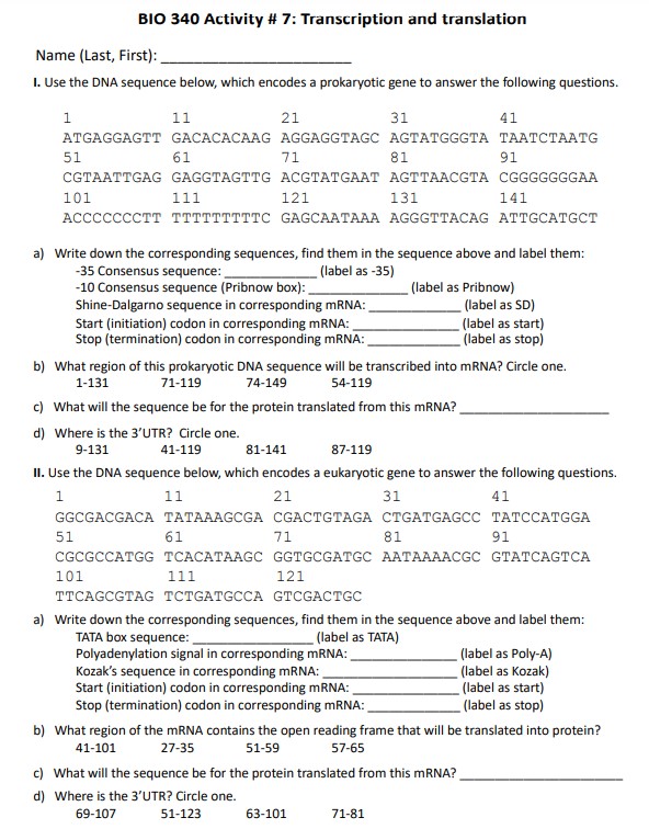 Solved BIO 340 Activity \# 7: Transcription and translation | Chegg.com