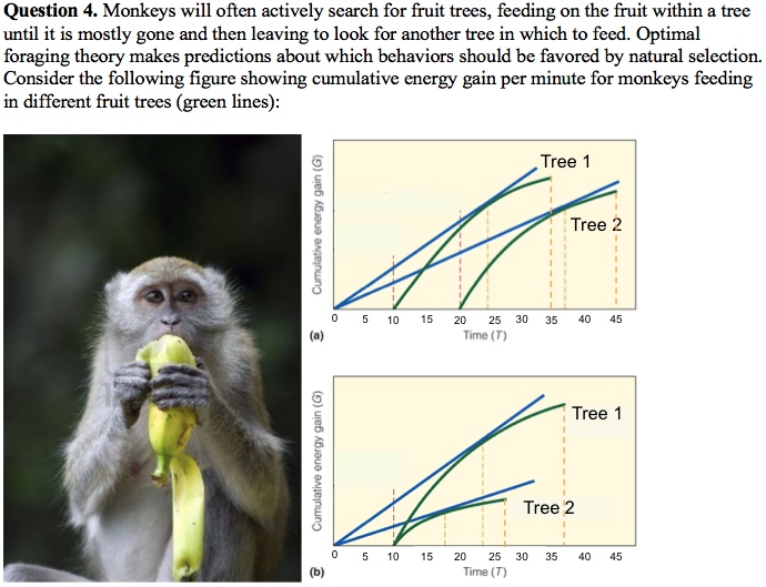 Solved Question 4. Monkeys will often actively search for | Chegg.com