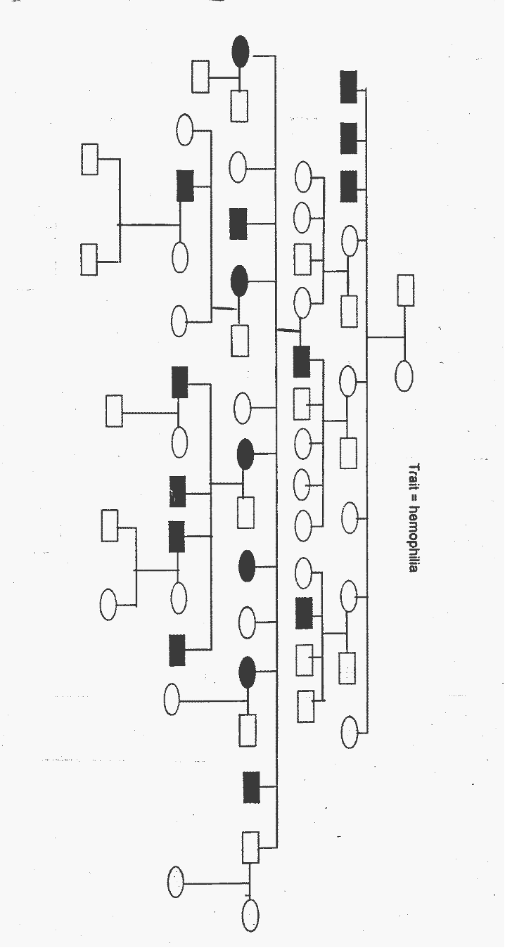 Solved Directions: Eye Color. Determine the genotype, if | Chegg.com