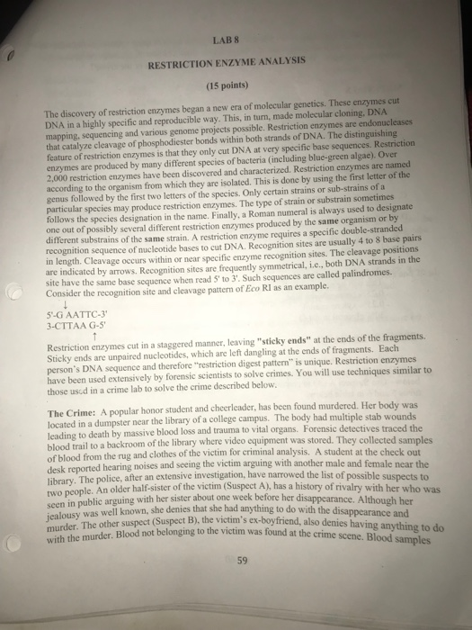 Solved The blue sheet is the questions The | Chegg.com
