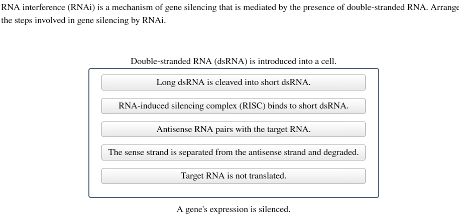 Solved RNA interference (RNAi) ﻿is a mechanism of gene | Chegg.com