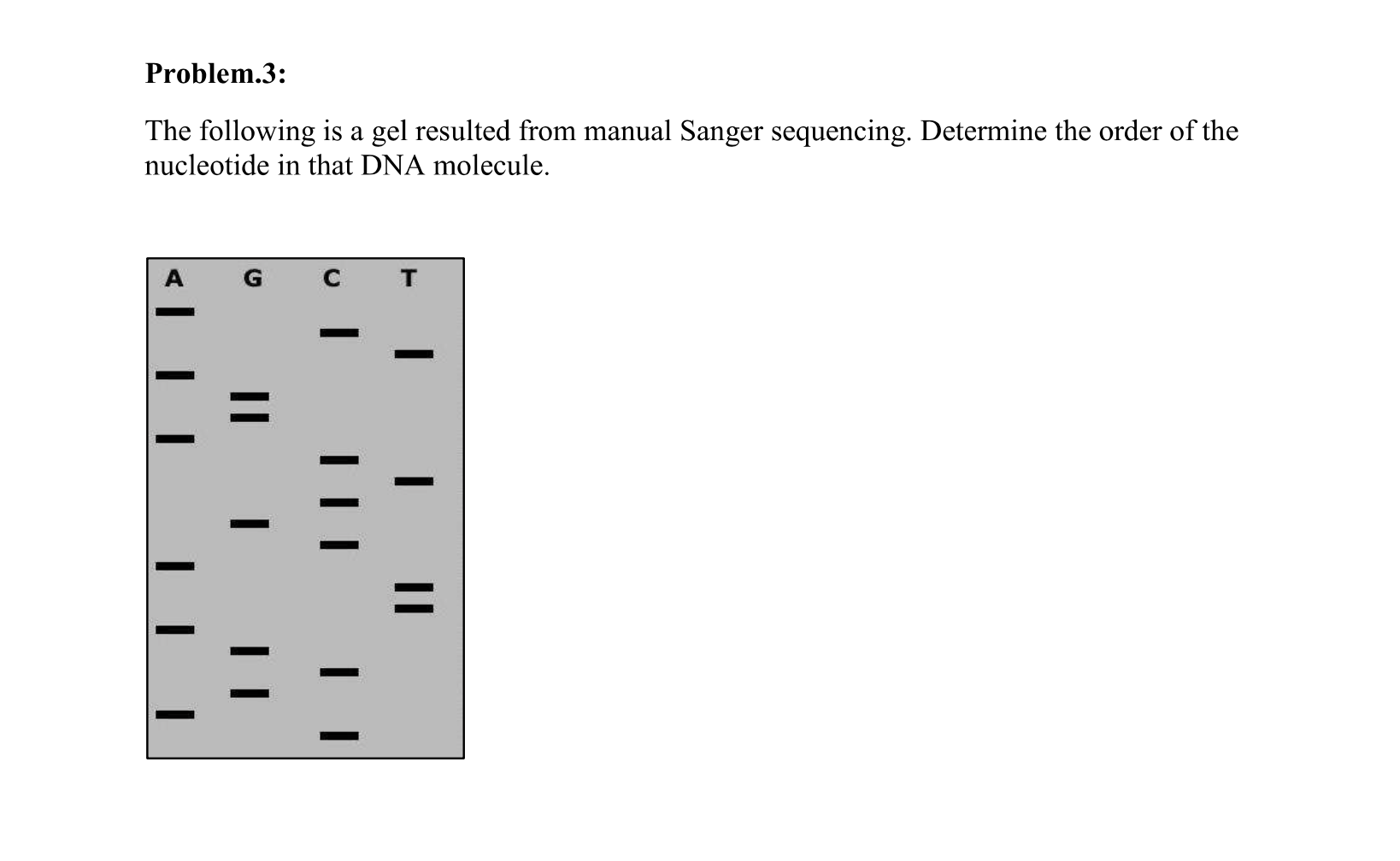 Solved Problem.3: The following is a gel resulted from | Chegg.com
