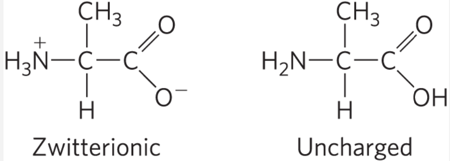 Solved Charge States of Alanine at Its pI At a pH equal to | Chegg.com