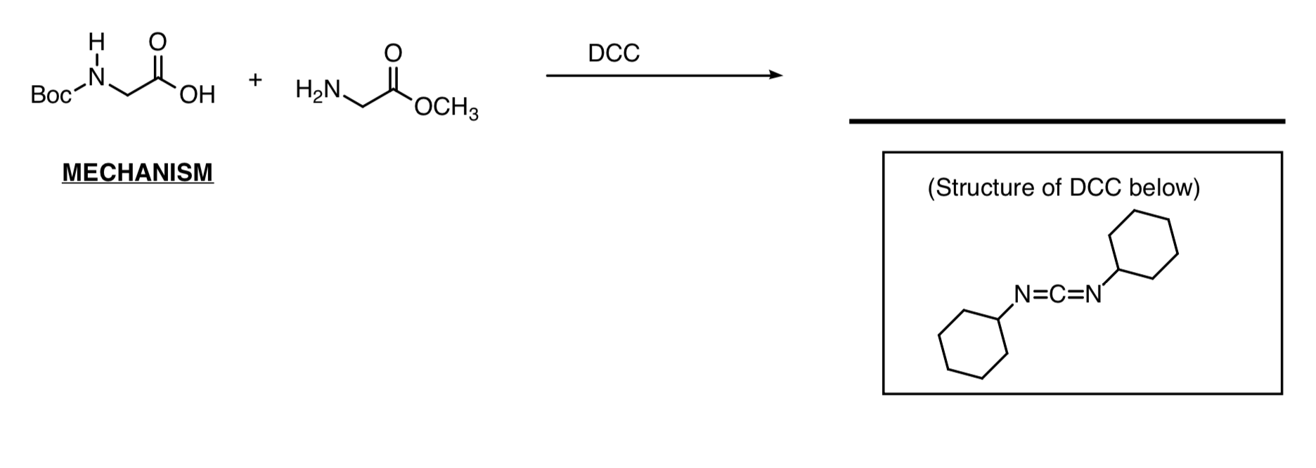 Solved DCC Botion noch + MECHANISM (Structure of DCC below) | Chegg.com