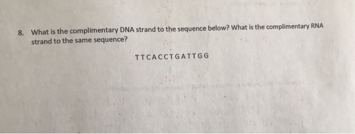 Solved What is the complimentary DNA strand to the sequence | Chegg.com