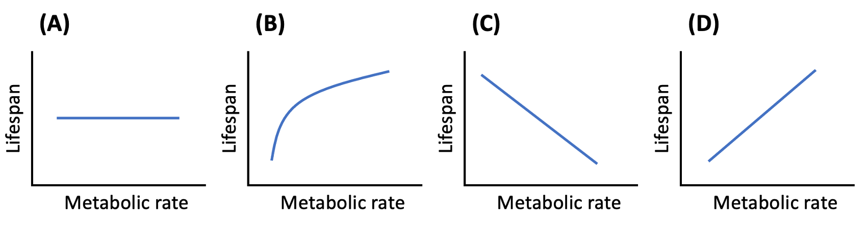 Solved Which of the following relationships is consistent | Chegg.com