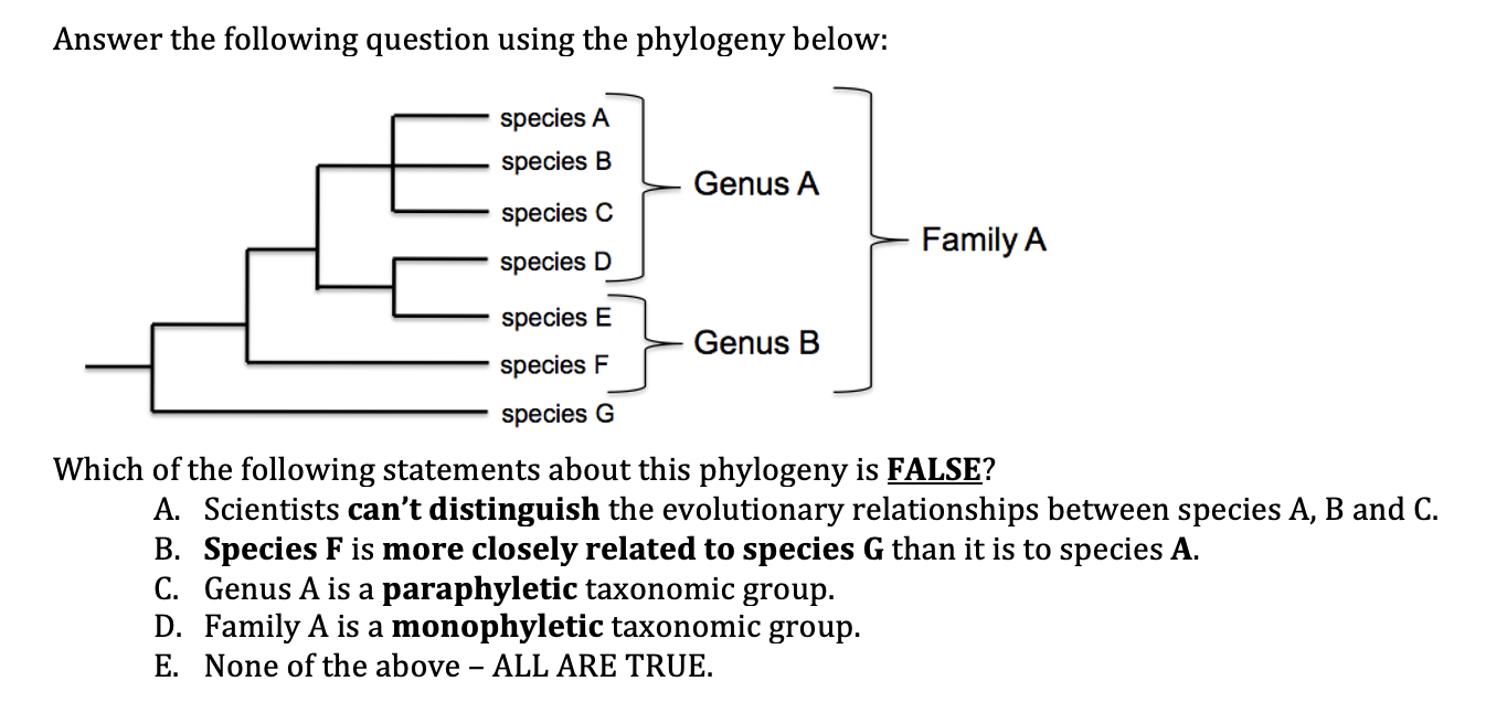 Solved Answer the following question using the phylogeny | Chegg.com