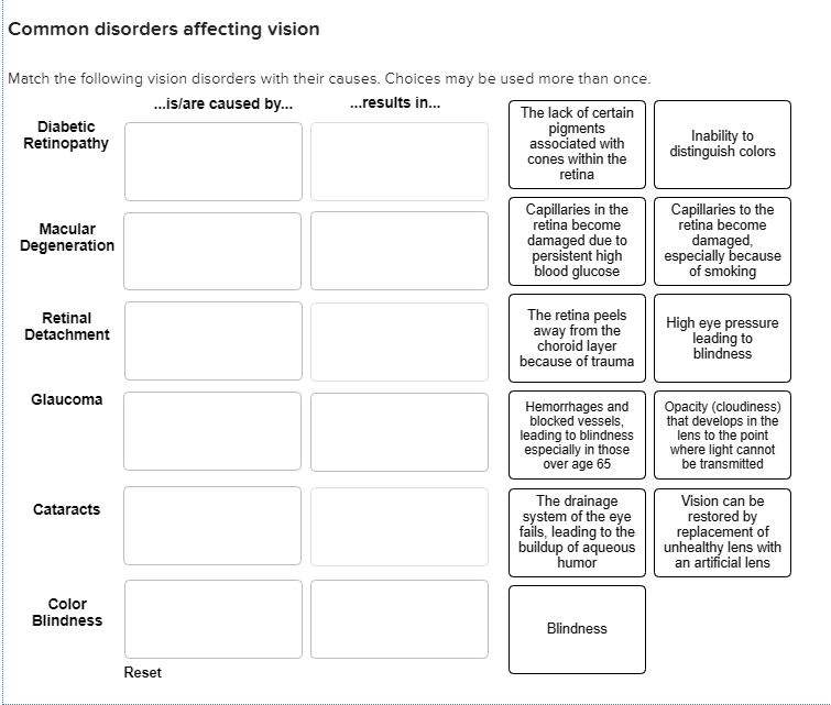 Solved Visual focus disorders Complete the following | Chegg.com