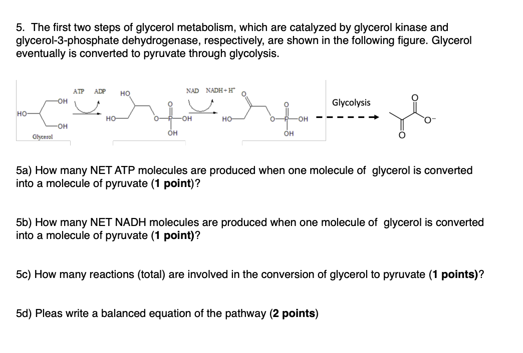 Solved 5. The first two steps of glycerol metabolism, which | Chegg.com