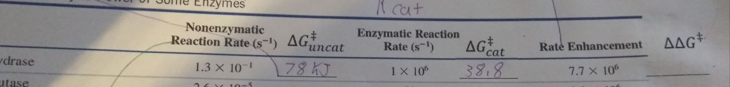 How do you calculate Delta delta g double dagger | Chegg.com