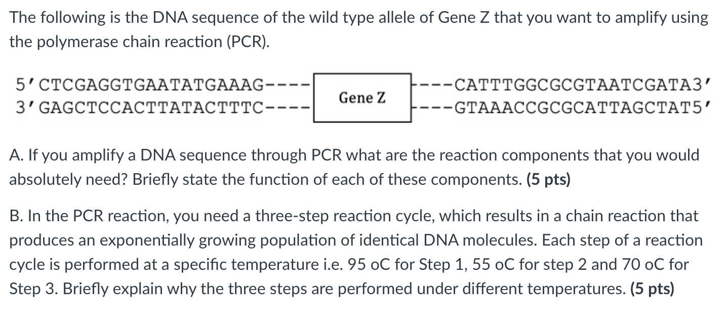 Solved The following is the DNA sequence of the wild type | Chegg.com