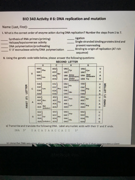 Solved BIO 340 Activity # 6: DNA replication and mutation | Chegg.com