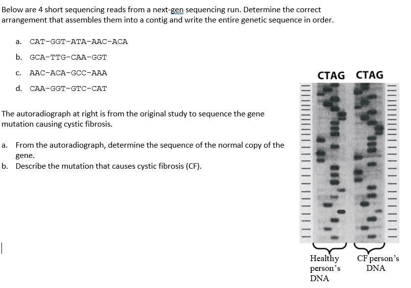 Solved Below are 4 short sequencing reads from a next-gen | Chegg.com