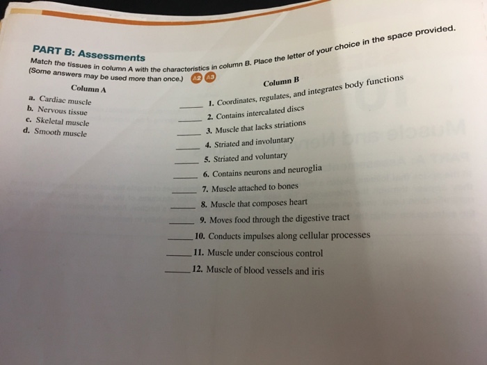Solved Match the tissues in column A with the | Chegg.com