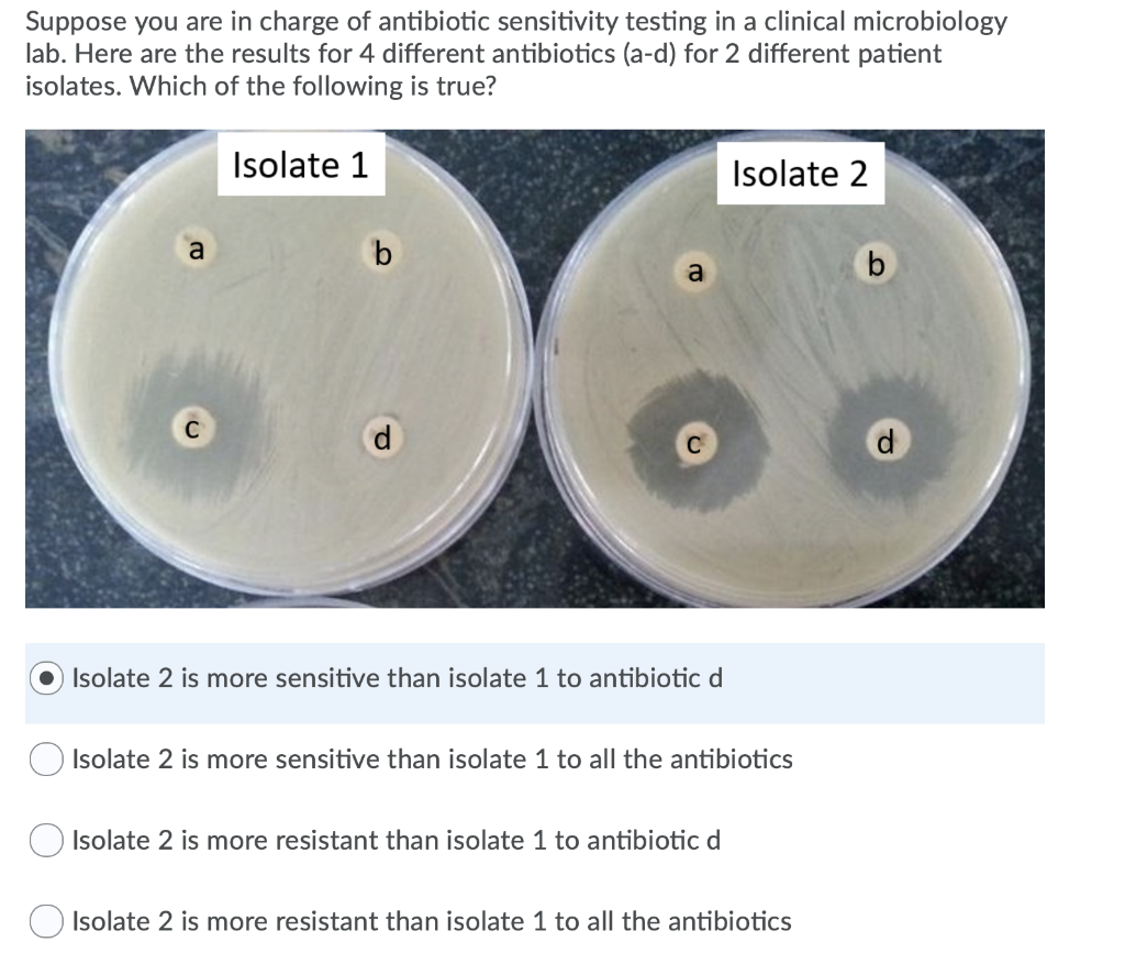 Solved Suppose you are in charge of antibiotic sensitivity | Chegg.com